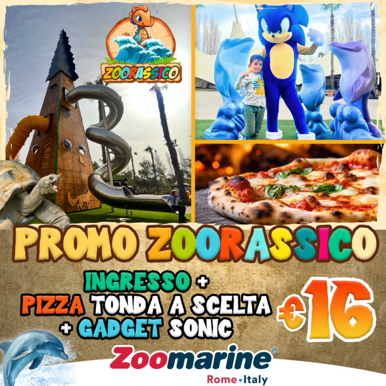 New Sonic the Hedgehog Attraction Opens in Zoomarine Rome This Summer ...