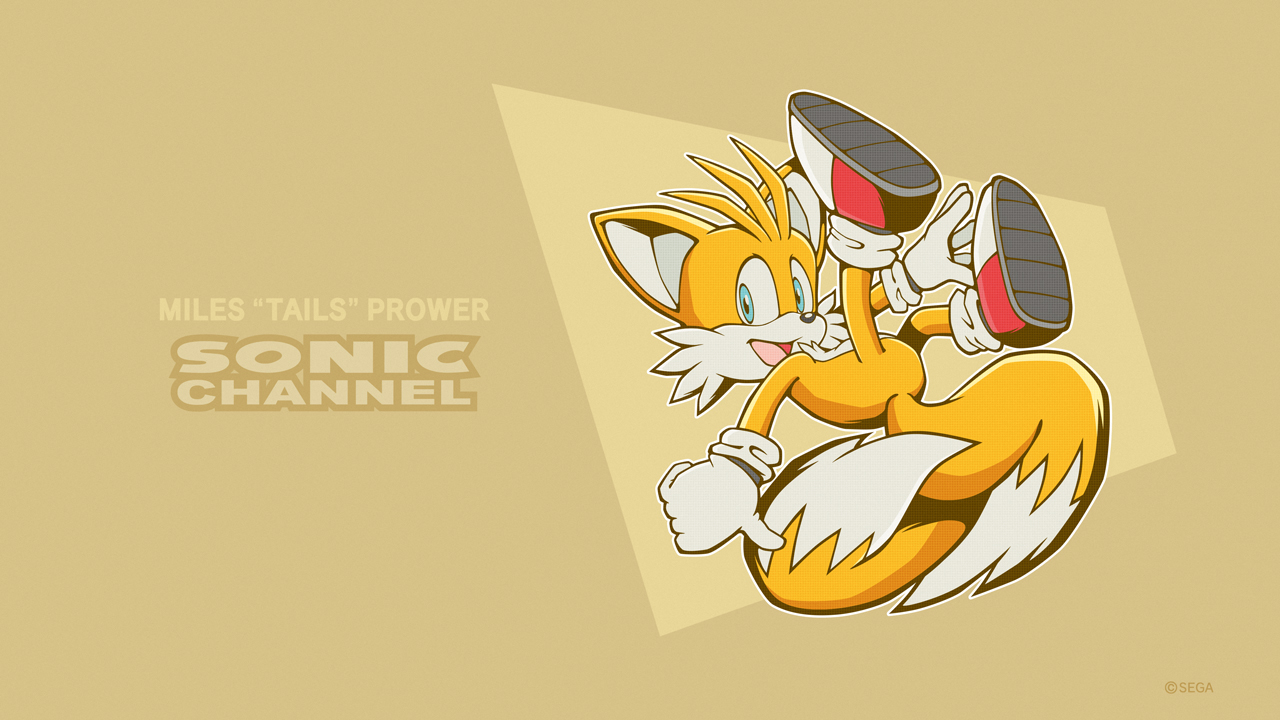 Introducing the Sonic Channel Wallpaper for January♪ – Sonic City ⋆ ...