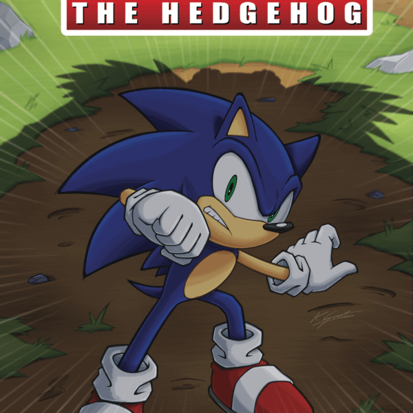 Sonic and The Flash Finally Meet in DC x Sonic the Hedgehog #1—And Yes ...